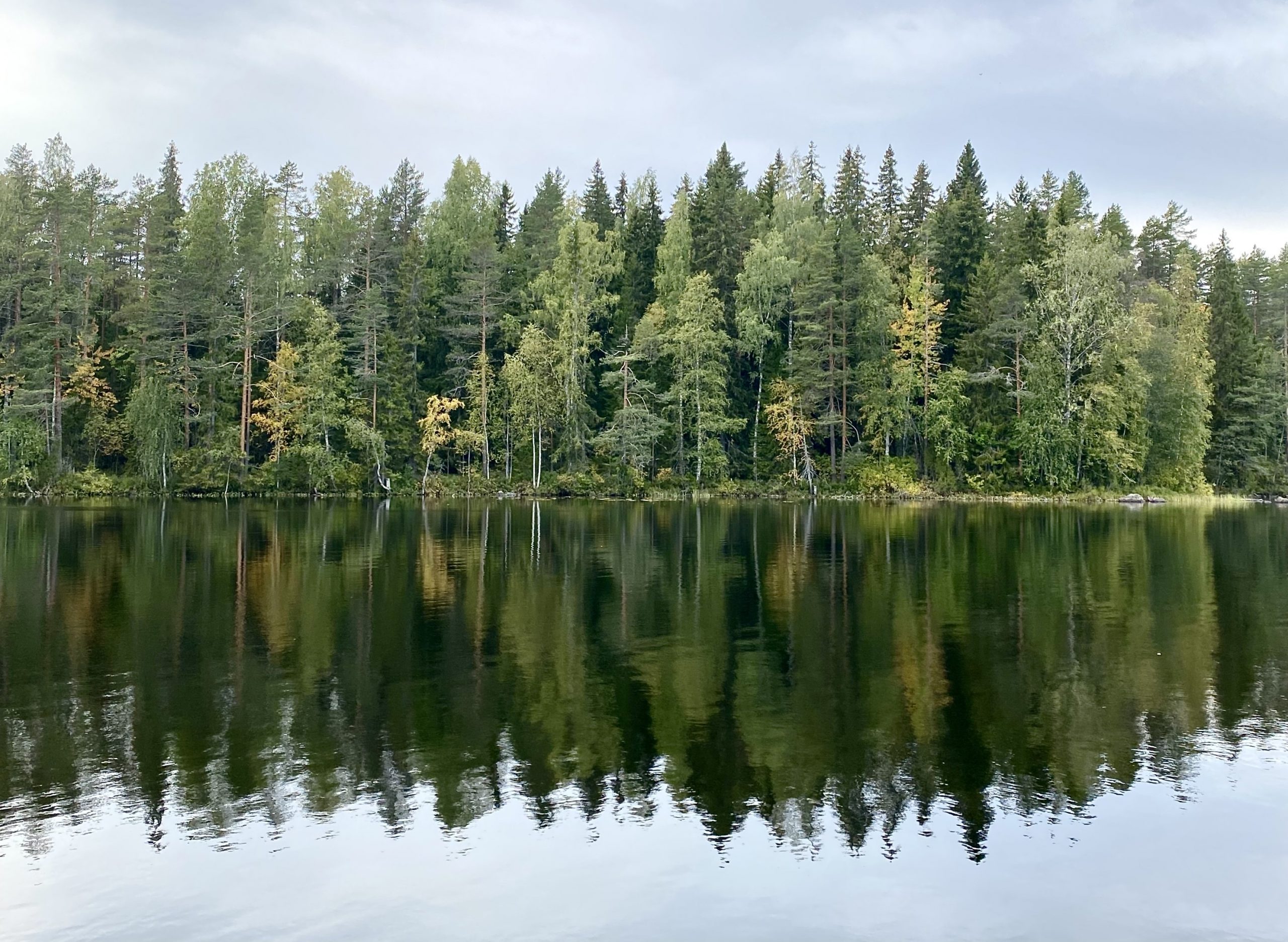 The world's most ambitious circular economy program | Demos Helsinki