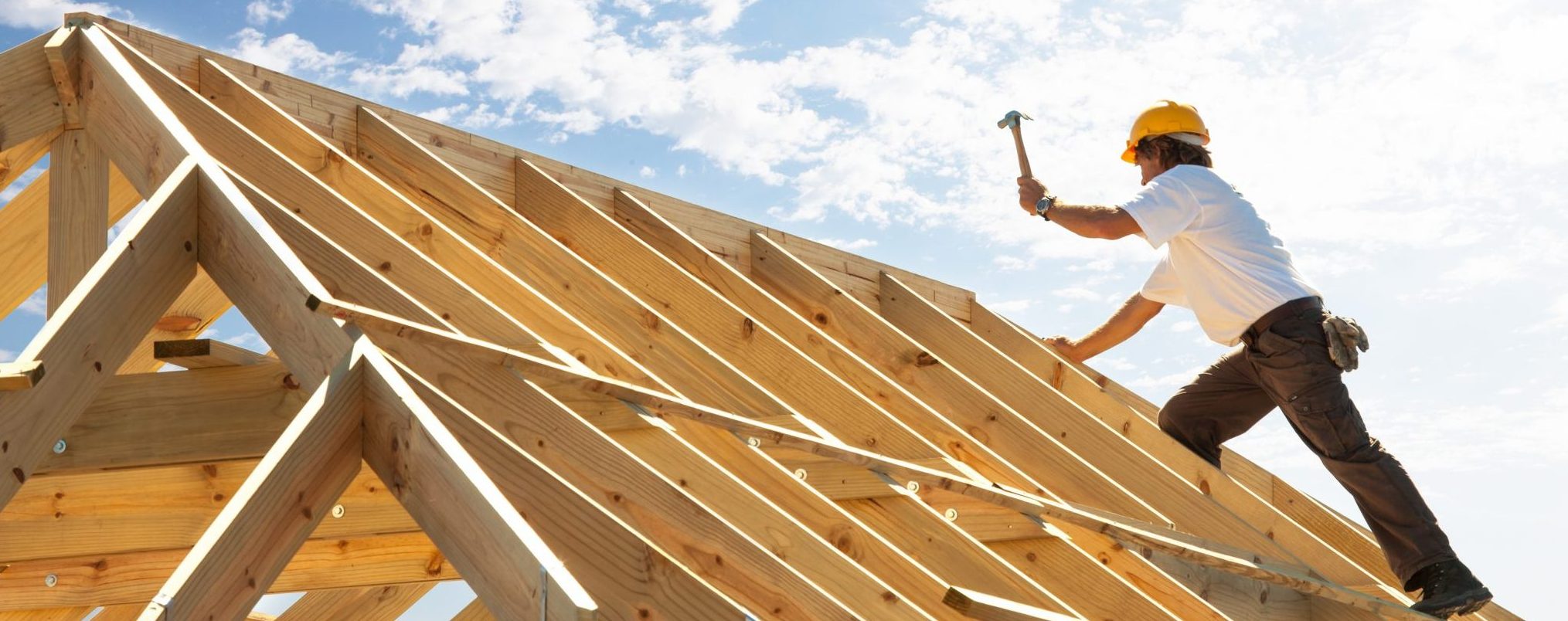 Discussing the future of timber construction in Finland | Demos Helsinki