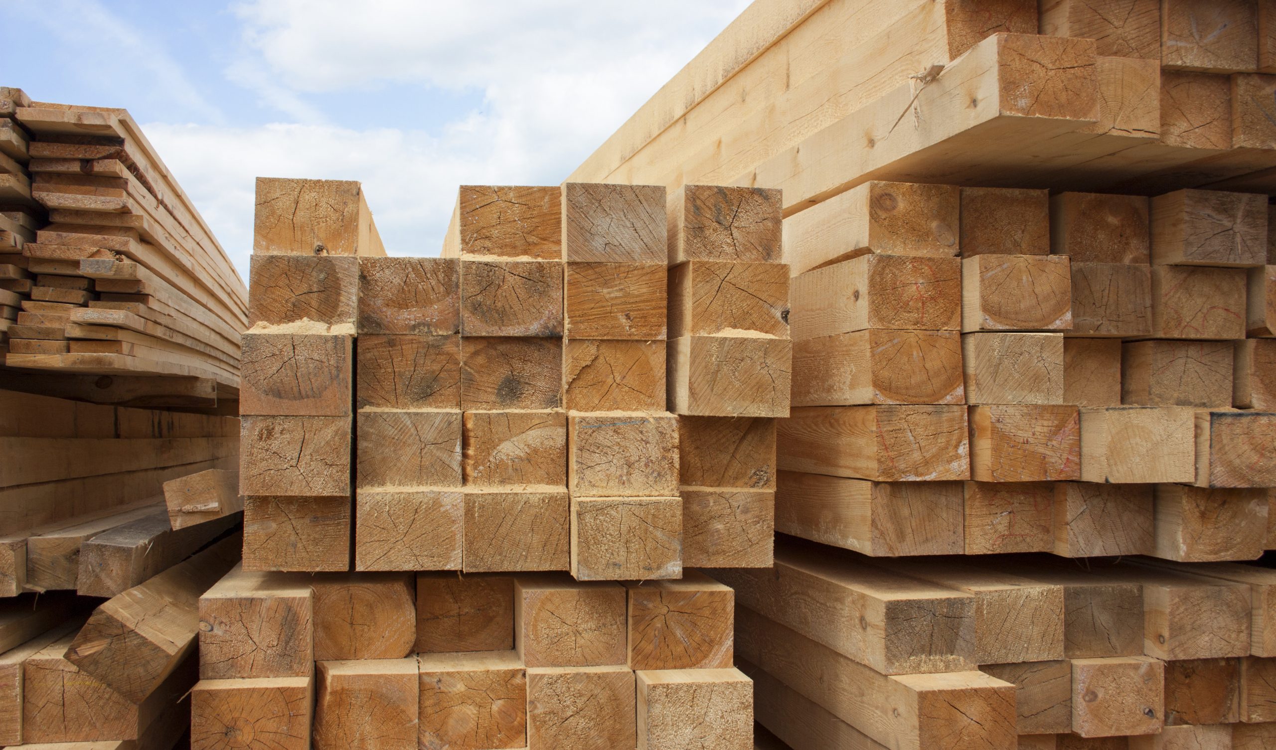 Humble Timber: The results | Demos Helsinki