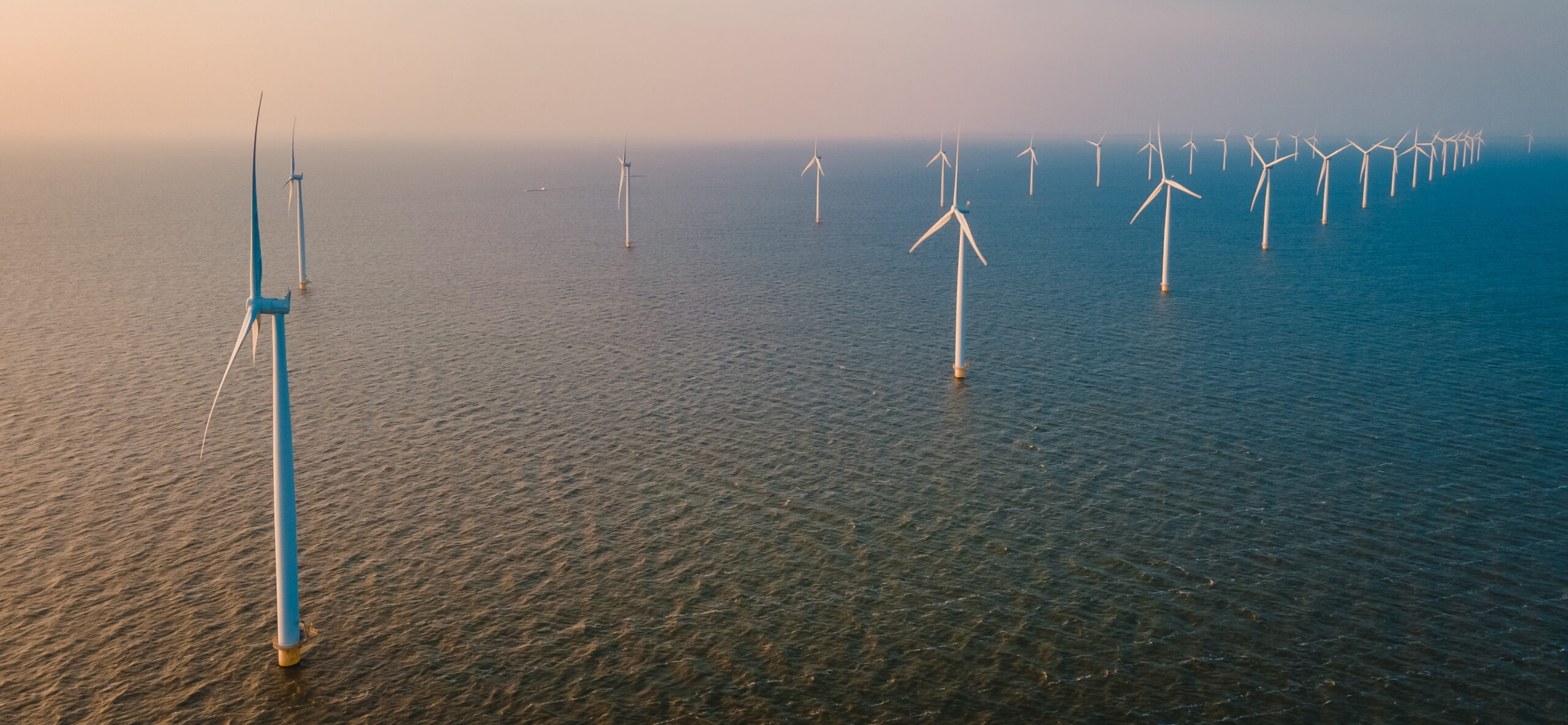 Building a new economy | Demos Helsinki